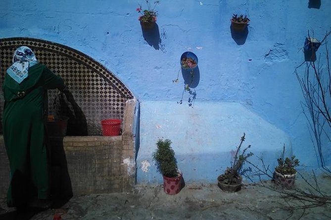 Tangier Guided Tour From Tarifa - Tour Experiences and Feedback
