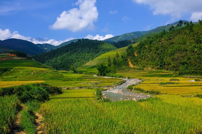 The best view and most authentic tour in Sapa (Non Touristy) - Authentic Experiences and Local Insights