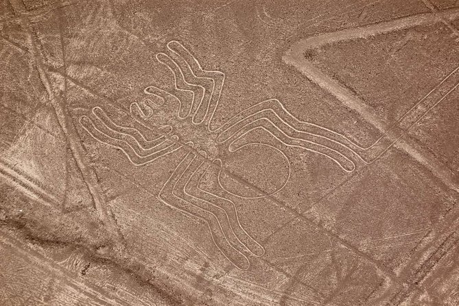 The Nazca Lines & Huacachina Oasis From Lima - Private Trip - The Dune Buggy and Sandboarding Adventure