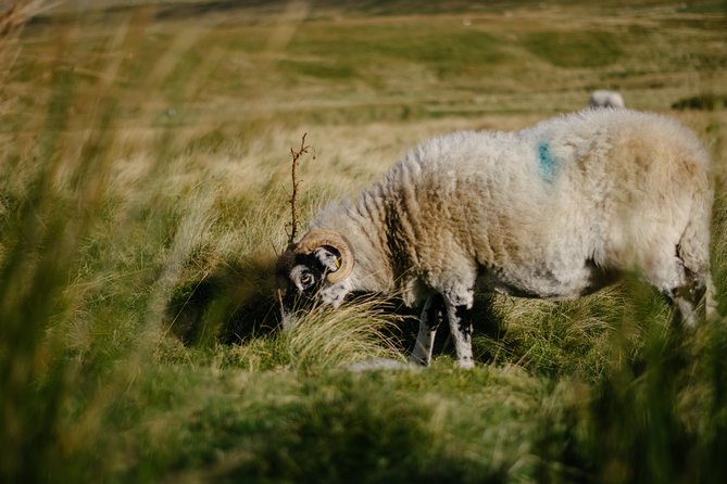 The Yorkshire Dales Tour From Windermere - Meeting and Pickup Details