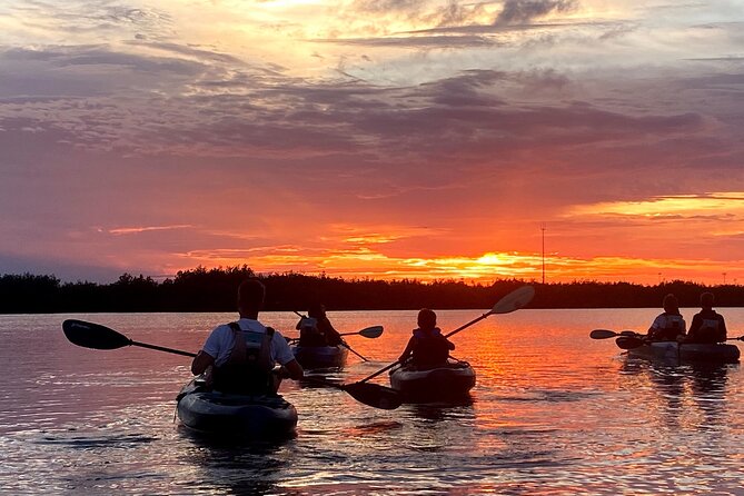 Thousand Islands Mangrove Tunnel & Bio Comb Jelly Sunset Tour - Pricing and Cancellation Policy