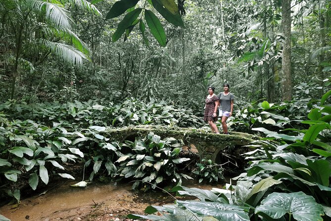 Tijuca National Park and All Its Wonders - Preparing for an Unforgettable Adventure