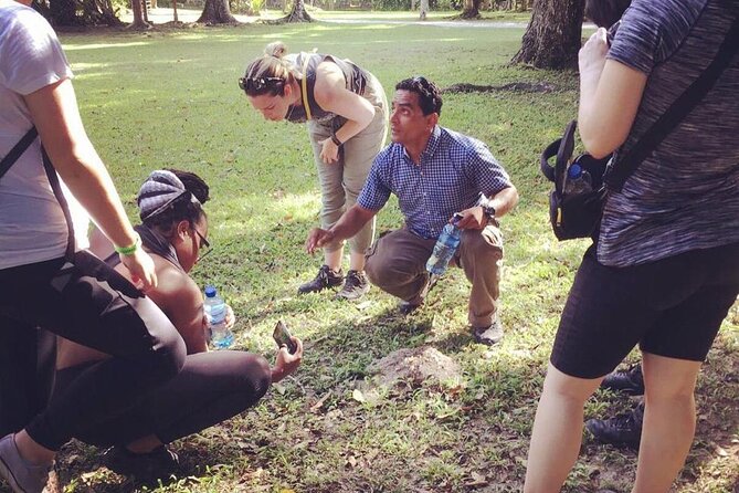 Tikal Private Day Tour Maya Adventure From Flores - Testimonials From Satisfied Guests