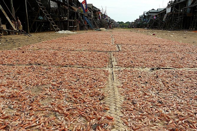 Tonle Sap Lake & Kampong Phluk Half-Day Tours - Practical Tips for Travelers