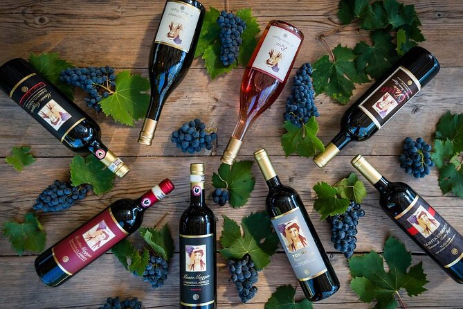 Tour and Tasting at an Organic Winery in the Heart of Chianti Classico Area - The Wine-Making Process Explained