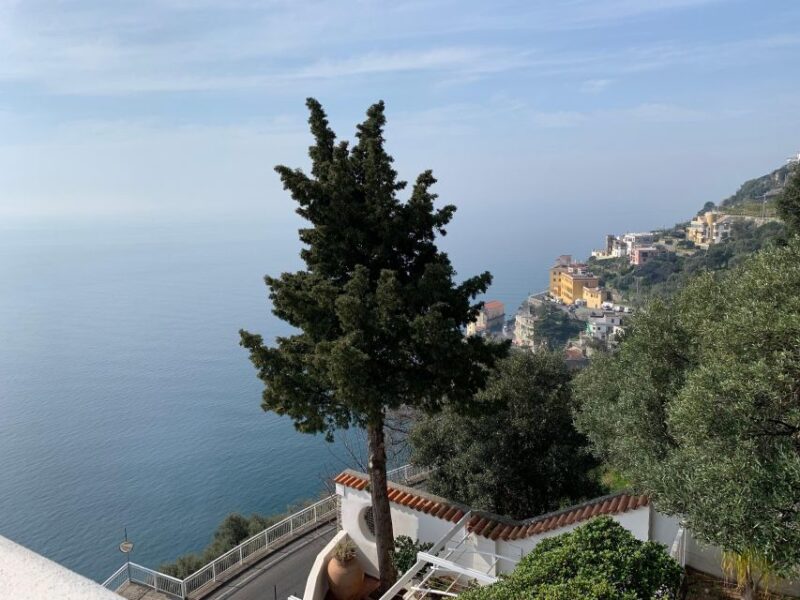 Tour in Minivan Mercedes to Sorrento & Pompeii - Journey to the Pompeii Archaeological Site