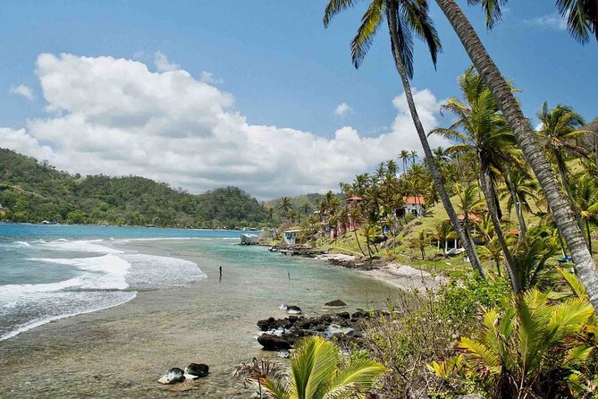 Tour to the Caribbean Coast: 3 Islands: Grande, Mamey and Monkey Plus Love Tunnel, Including Historic Portobelo Fort - Pricing and Cancellation Policy