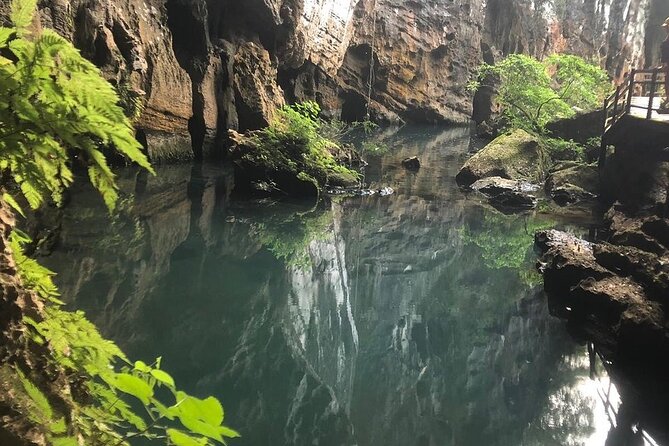 TOUR TO THE CAVES - Paradise & Dark caves from Dong hoi city - The Value of This Tour