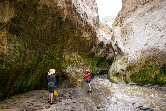 Trekking, Waterfalls and Thermal Baths - Traveler Experiences and Feedback