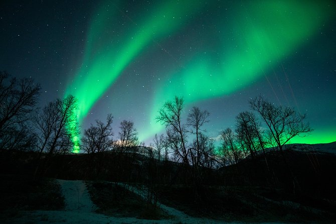 Tromso Northern Light Chase in Minibus Tour With Campfire - Participant Feedback and Experiences