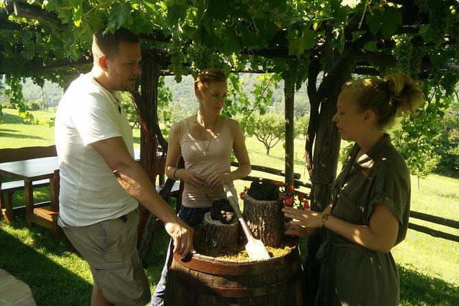Truffle and Wine / Taste of Istria From POREC, ROVINJ, PULA - Hassle-Free Hotel Pickup