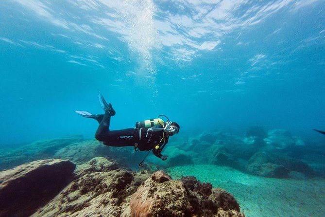 Try Dive in Tenerife - Exploring the Underwater Wonders of Tenerife