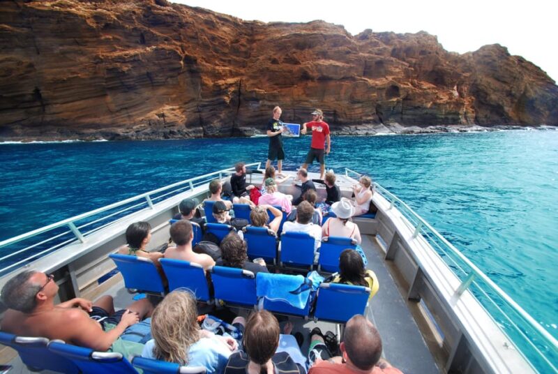 Turtle Reef Snorkel Adventure - The Marine Life and Snorkel Sites