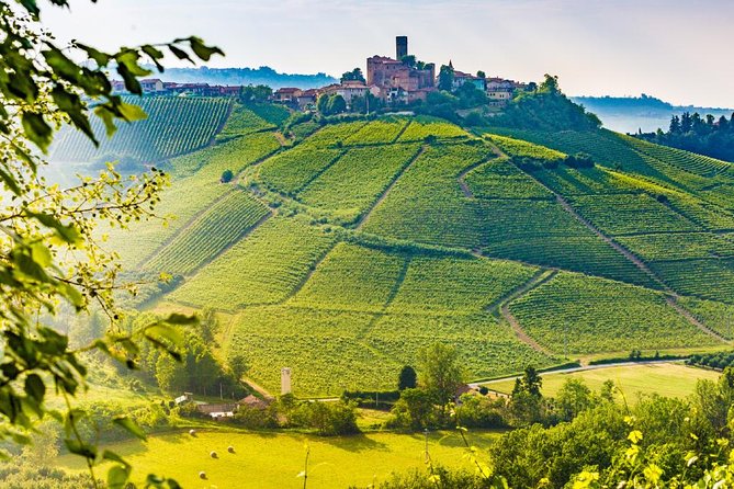 Tuscan Chianti Hills Horseback Riding Tour - Accessibility Considerations