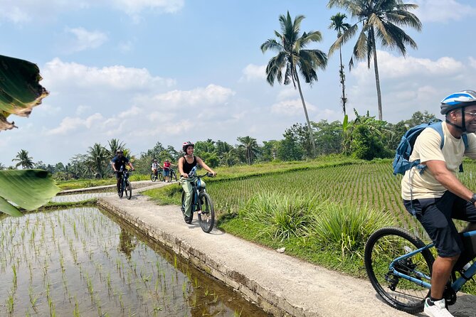 Ubud eBikes Tour to Tegallalang Rice Terrace - Authentic Experiences and Cultural Insights