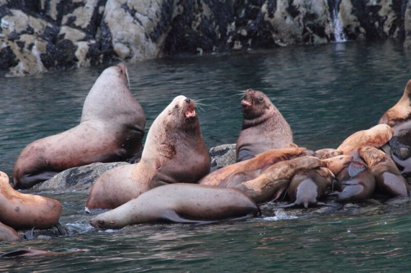 Valdez: 6-Hour Columbia Glacier Cruise - Food and Comfort: A Hot Soup Lunch