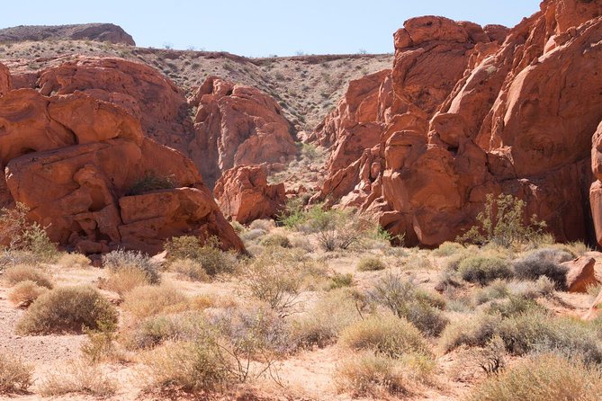 Valley of Fire 3-Hour ATV Tour Las Vegas #1 ATV TOUR BEST SCENERY - Customer Feedback and Experiences