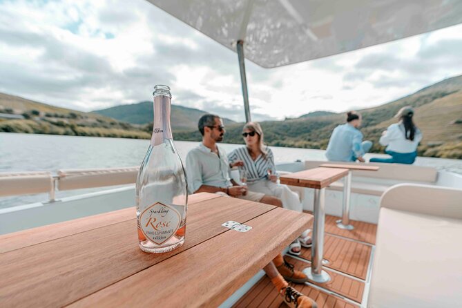 Valley of the Douro: Private Tour Electric Boat 1h With Wine Tasting - What to Expect on Your Journey
