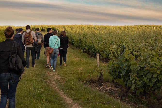 Vouvray Vineyard Tour Review: An Unforgettable Experience - Transportation and Location