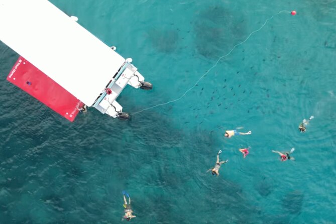 Waikiki Snorkel Tour - Group Size and Atmosphere