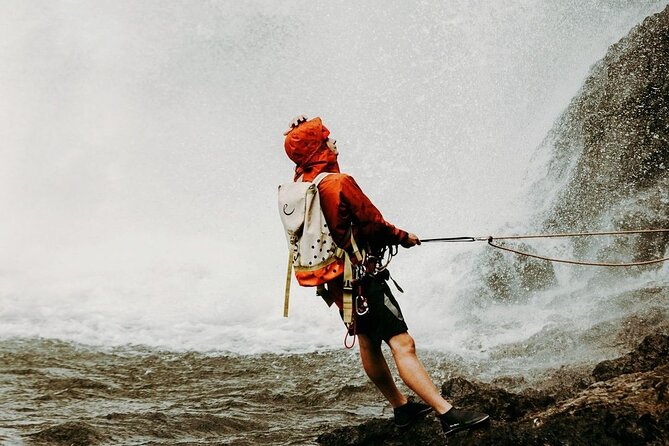 Waterfall Rappelling at Kulaniapia Falls: 120 Foot Drop, 15 Minutes From Hilo - Reviews and Recommendations