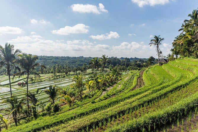 West Bali Tour: Taman Ayun, Ulun Danu Beratan, Jatiluwih Rice Terrace, Tanah Lot - The Sum Up