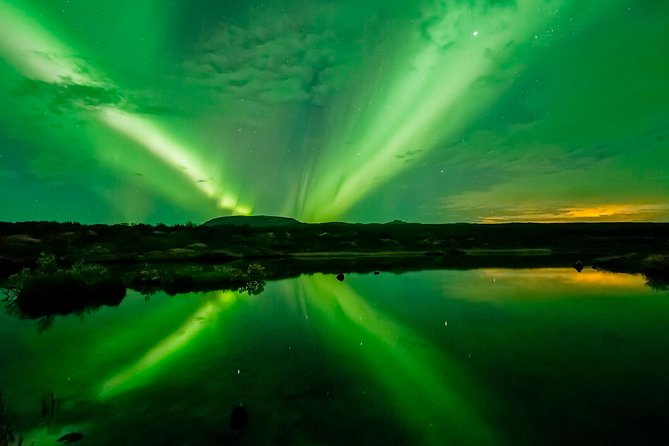 Whale Watching and Northern Lights Half-Day Combo Tour - Booking Policies and Pricing