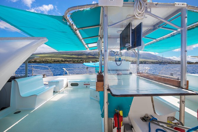 Whale Watching Cruise with Open Bar from Ka'anapali Beach - Authentic Experiences in Every Glance