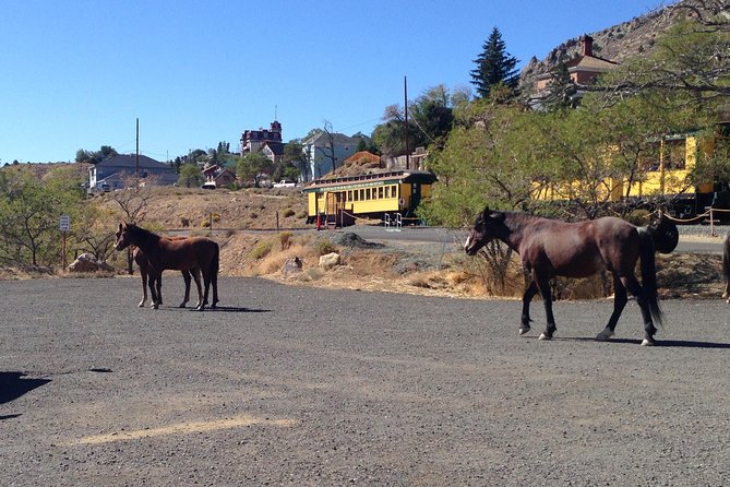 Wild West Day Trip to Virginia City from Tahoe with Train Ride - Price and Value