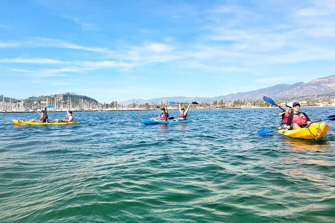 Wildlife Kayak Tour in Santa Barbara Harbor (2 Hours) - Expert Guide Services and Commentary