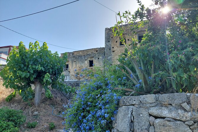 Wine Tasting: Meet the Cretan Vineyard at West Chania - Why Choose This Experience in West Chania