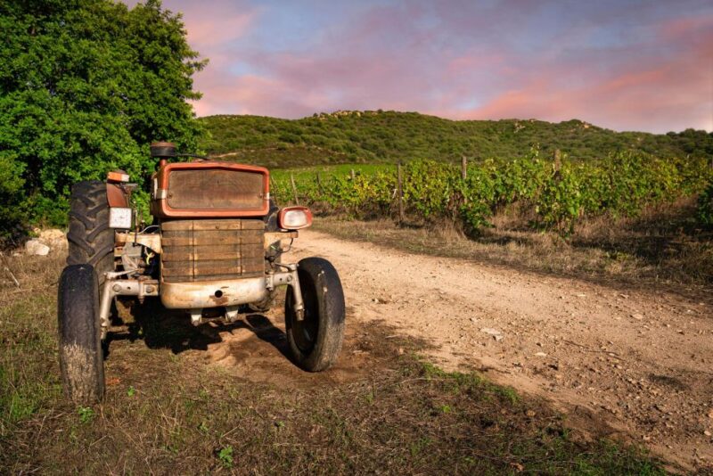 Wine Tour and Lunch or Dinner at Our Vineyard - Customer Feedback