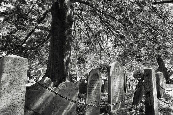 "Witch Trials" Walking Tour in Salem - The Value for Money