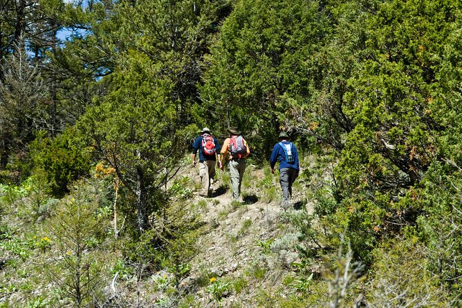 Yellowstone Full Day Private Tour - Booking and Cancellation Policy