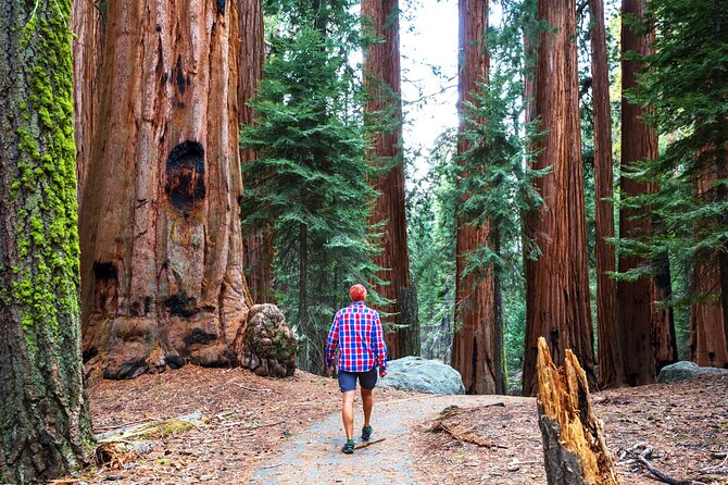 Yosemite National Park 2-Day Tour from San Francisco with Lodging - FAQs