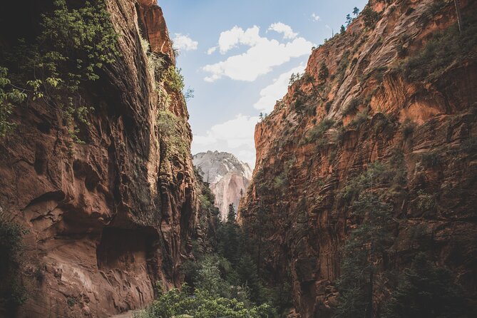 Zion Full Day Small Group Tour With Narrows - The Role of Your Guide