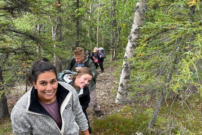 5-Hour Mountain Hiking Tour in the Alaska Range - Denali Area - Exploring the 5-Hour Mountain Hiking Tour in Denali: An Authentic Wilderness Experience