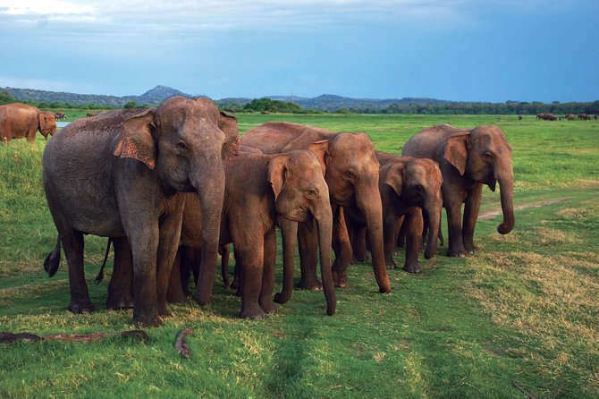 03 Nights in Amazing Sri Lanka - Final Thoughts