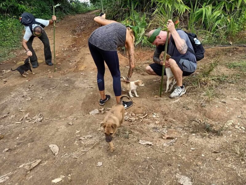 1 Day trekking : Chiang Rai popular activity,Fun in Nature. - FAQ
