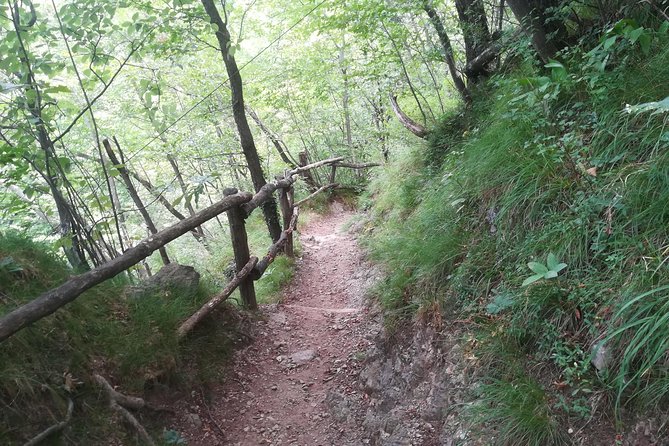 1 Day Trekking - The Path of the Wanderer: BELLANO. VARENNA - Health and Accessibility Considerations