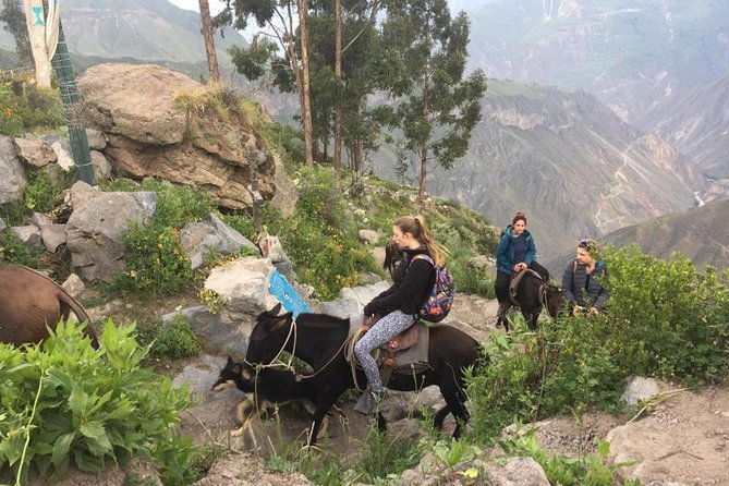 2 Day Trek Including Transfer to Puno / Colca Canyon - Relaxing in Hot Springs