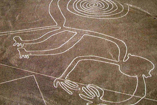 2 Days Experience in Paracas, Huacachina & Nazca Lines From Lima - Company and Tour Details