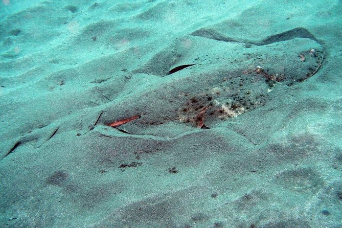 2 Dive Package for Qualified Divers in Gran Canaria - FAQ