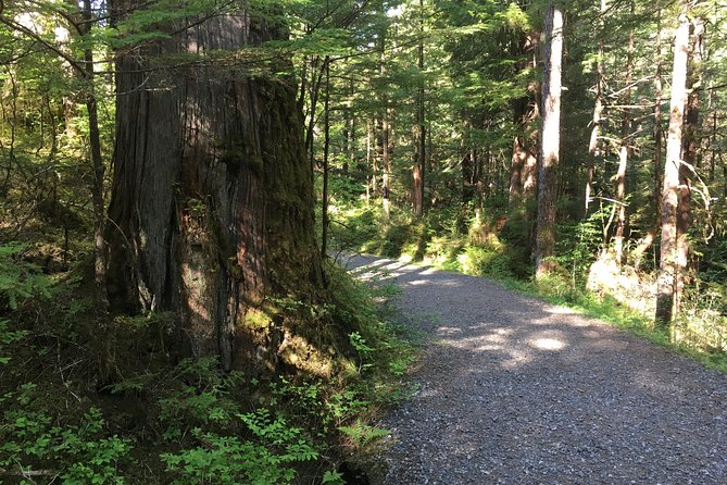 2 Hour Alaska Rainforest Walk and Totem Park Small Group Tour - Preparing for the Adventure