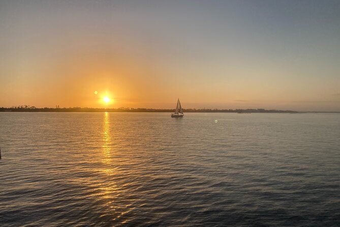 2 Hour Private Dolphin Sightseeing Tour - Who Should Book This Tour?