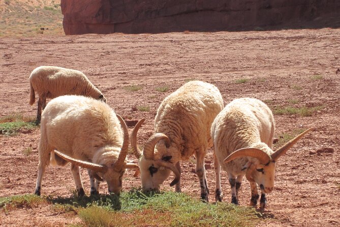 3.5 Hours of Monument Valley's Cultural 4×4 Tour - Who Will Love This Tour?