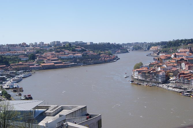 3-Hour Guided Walking Tour of Porto - Customer Reviews and Feedback