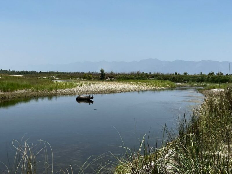 3 Nights 4 Days Chitwan National Park with Tower Night Stay - FAQ