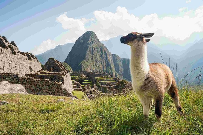 4-Day Excursion to Machupicchu & Rainbow Mountain & City Tour || All Included || - Booking and Cancellation Policy