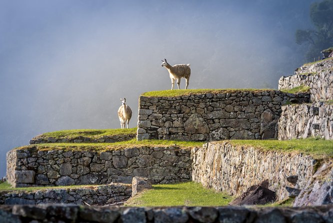 5 Day - Tour to Machu Picchu Traditional - Group Service - Booking and Cancellation Policy